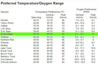 Effective Freshwater Fishing Tips for Anglers While Fishing in Texas Bay