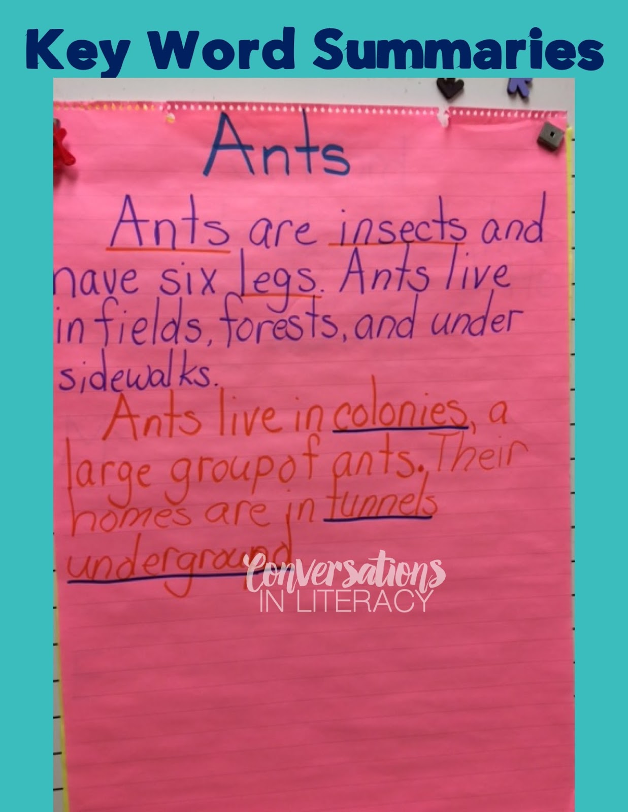 Brain Warm Ups and Key Word Summaries - Conversations in Literacy