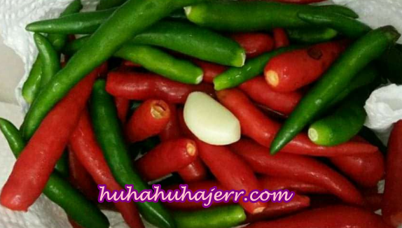 Cara Simpan Cili Api Dalam Peti Sejuk Tahan Lebih Sebulan - blog santai ...