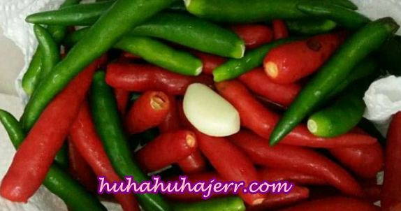 Cara Simpan Cili Api Dalam Peti Sejuk Tahan Lebih Sebulan - blog santai ...