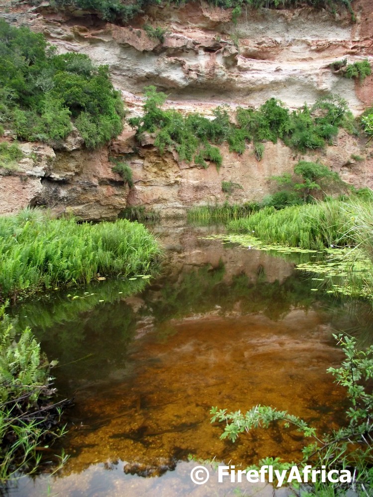 Port Elizabeth Daily Photo: Groendal reflection