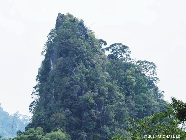 The rainforests of Borneo & Southeast Asia: Back to limestone forest in ...