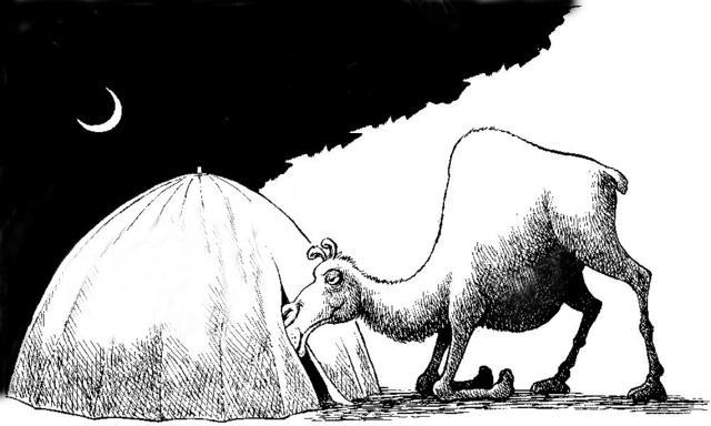 Arab and His Camel Short Story - Moral Stories For Children