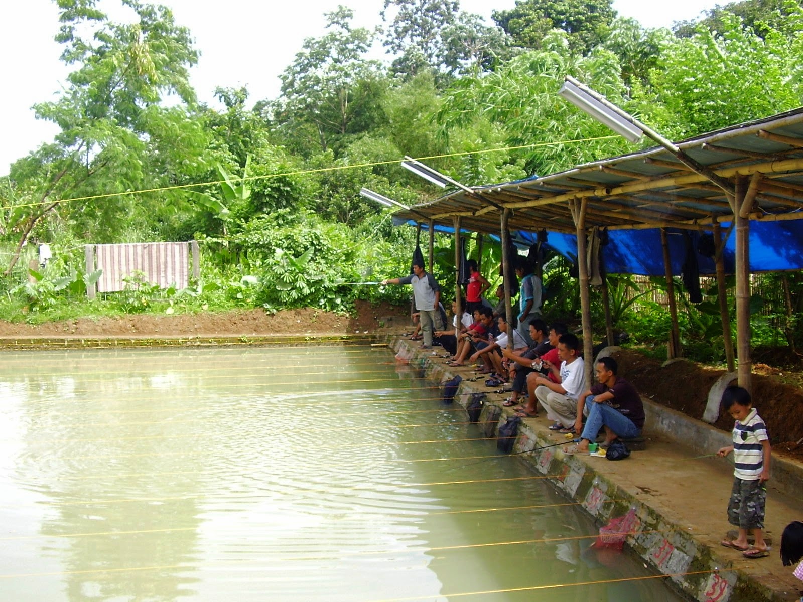 Tips Membuka Bisnis Pemancingan - Dunia Akuarium