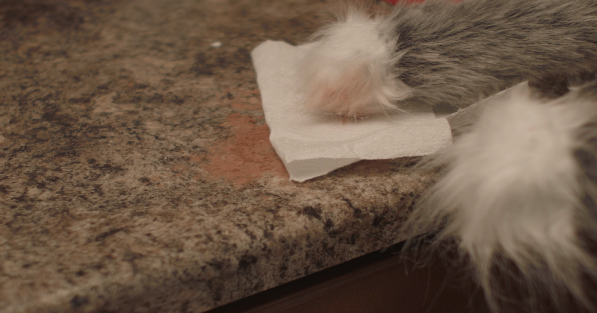 MKE Short Fest Blog: 2017 Films: Kat the Baker