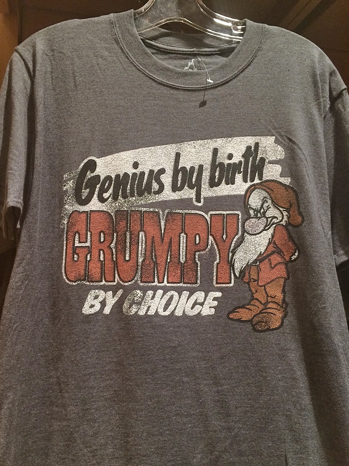 Attempted Bloggery: Disney World Parting Shots