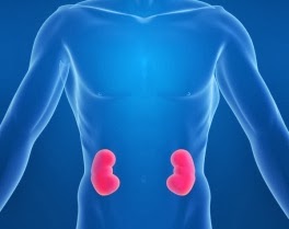 RIM - medicina chinesa