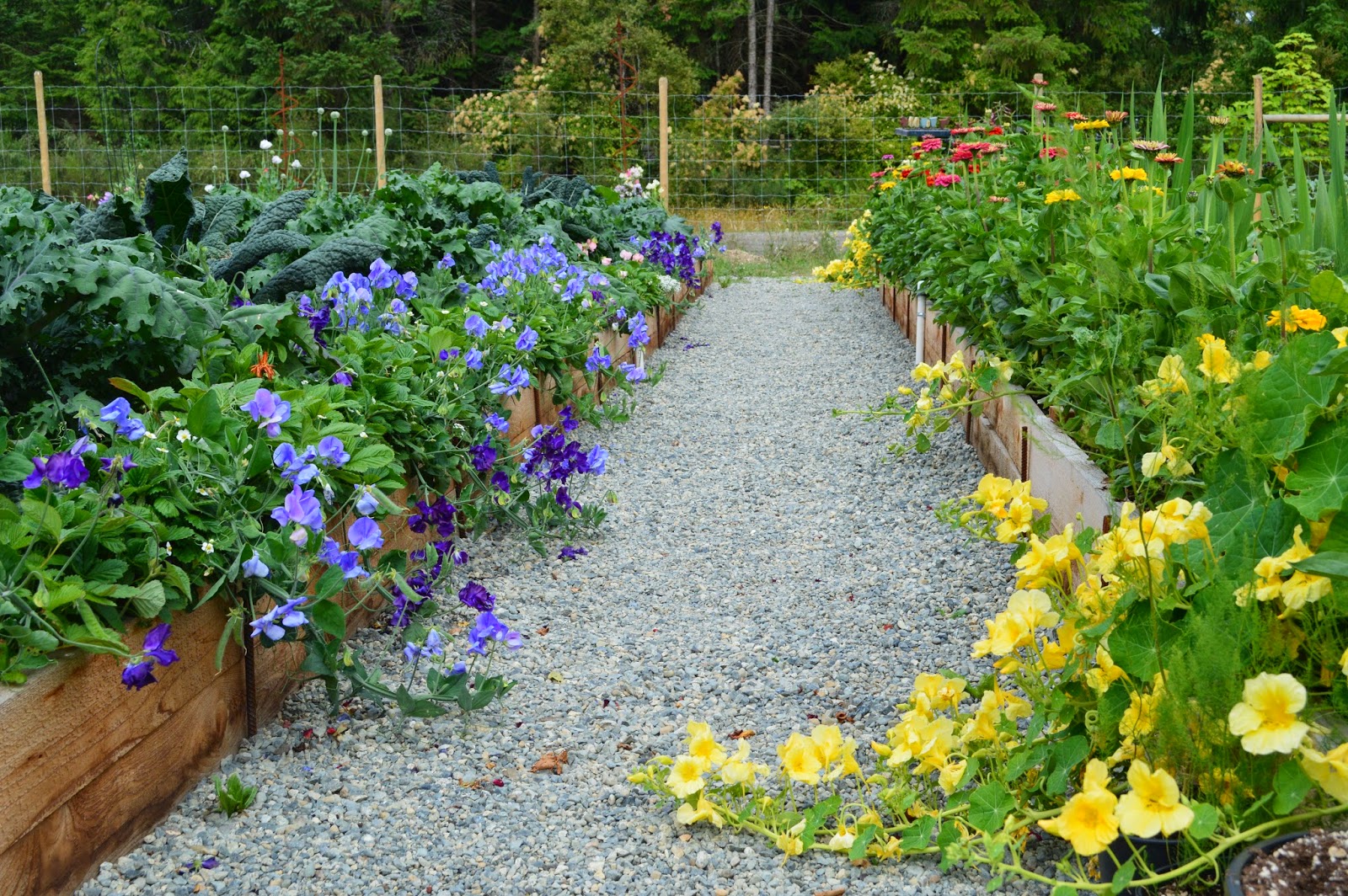 July Garden and Greenhouse Ramblings