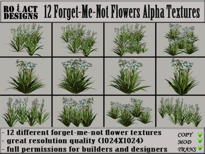 Ro!Act Designs: Ro!Act Designs 12 Forget-Me-Not Flowers Alpha Textures