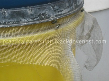 Practical Gardening: Easy Homemade Fish Emulsion Fertilizer