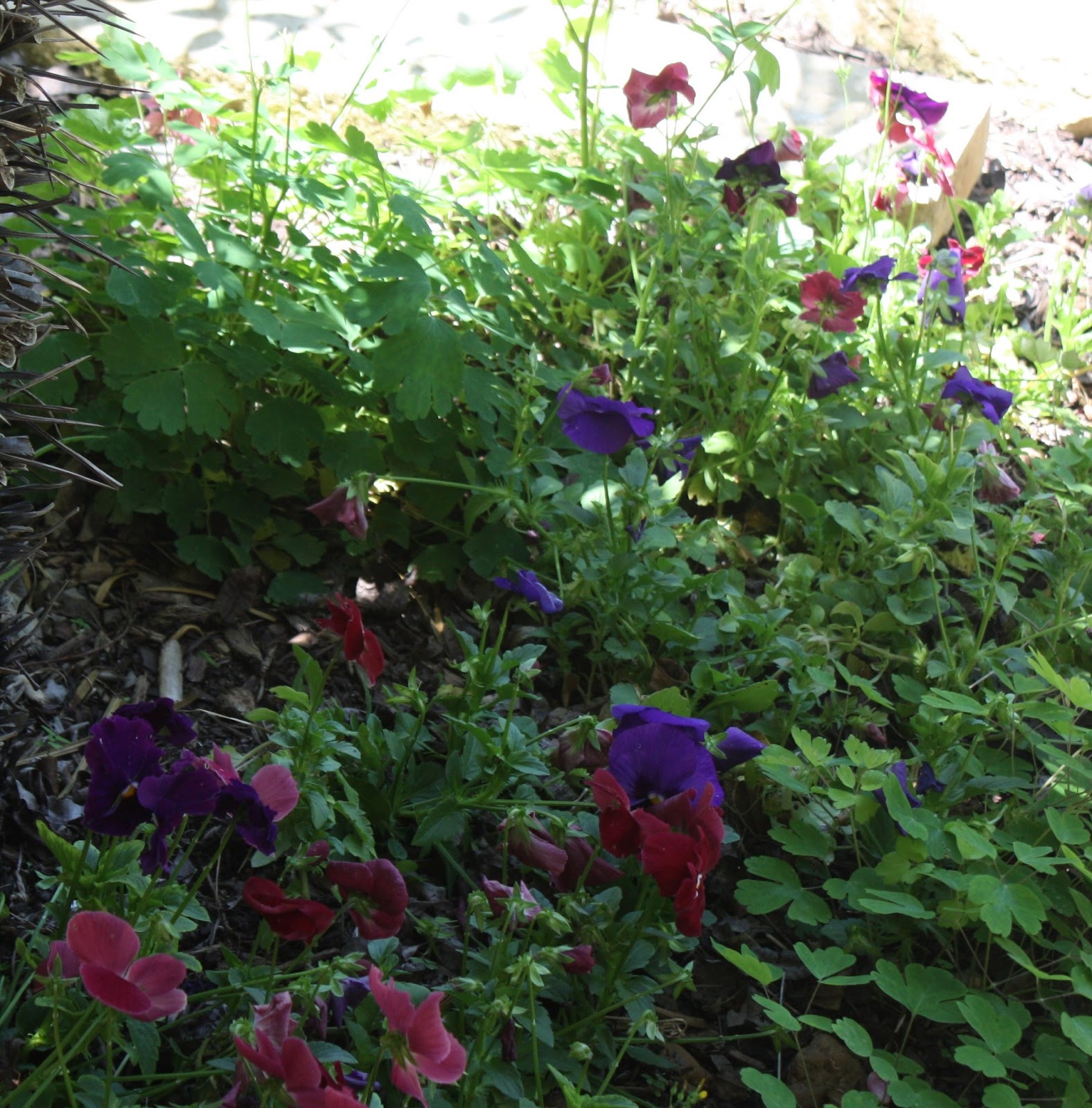 Our Ever-Changing Landscape: The Very Worst Gardening Conditions in the ...