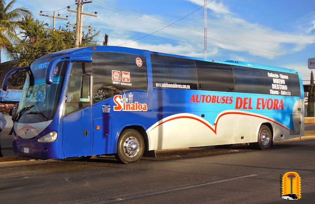 Comarca Buses: Autobuses del Evora