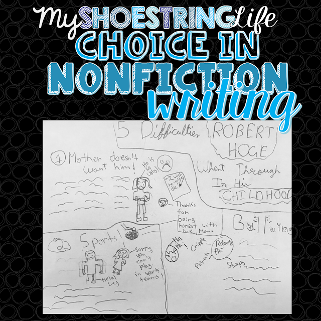 Choice in Nonfiction Writing | My Shoestring Life