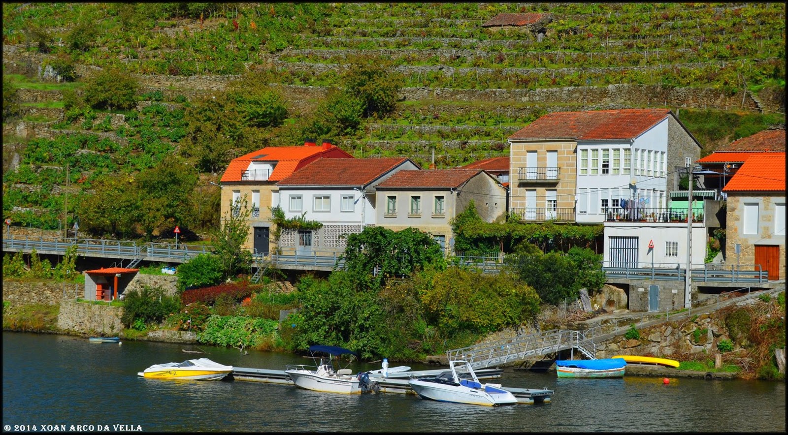 XOAN ARCO DA VELLA: BELESAR - LUGO