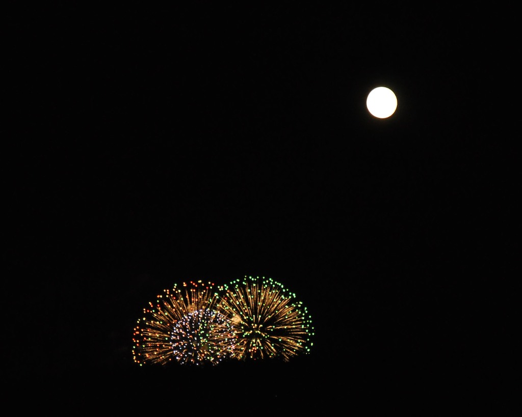 Orca Watcher: Photos From the Last Two Weeks