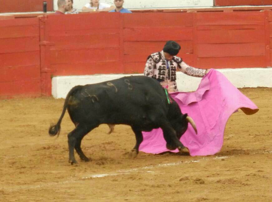 PERÚ TOROS: EL NOVILLERO PERUANO ENRIQUE DÍAZ CORTÓ UNA OREJA EN MARACAIBO