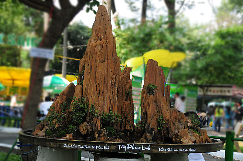 Breeze Me: Wonderful Miniature landscapes in Saigon, Vietnam
