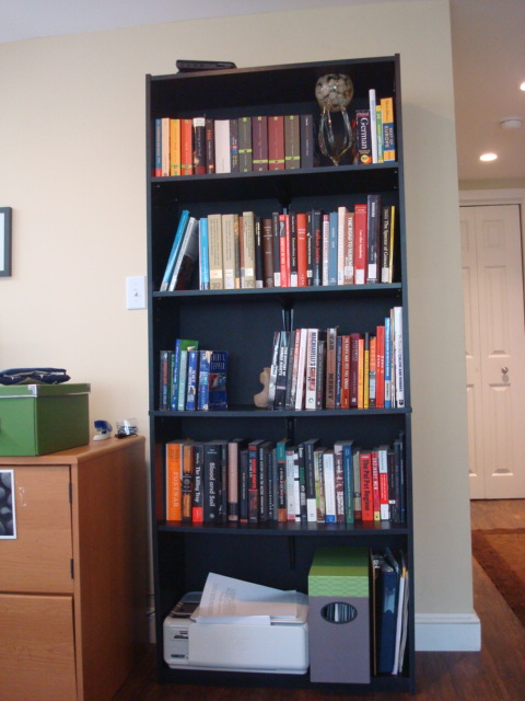 Betsy & Orion: How To Reinforce Your Crappy Bookcase
