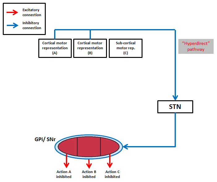 Neural Matters: Action selection and the Basal Ganglia