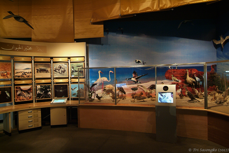 My mini photo gallery: Scitech museum Dammam