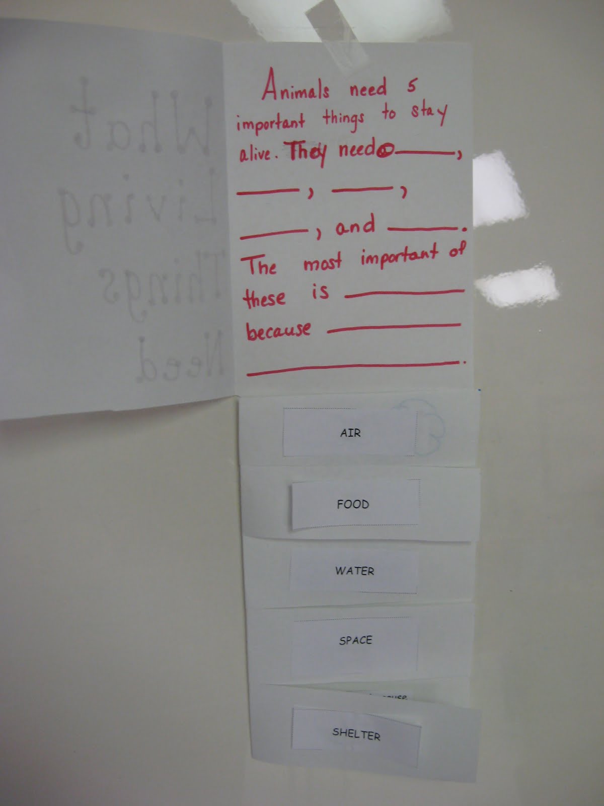 Habitat Introduction - 2nd Grade