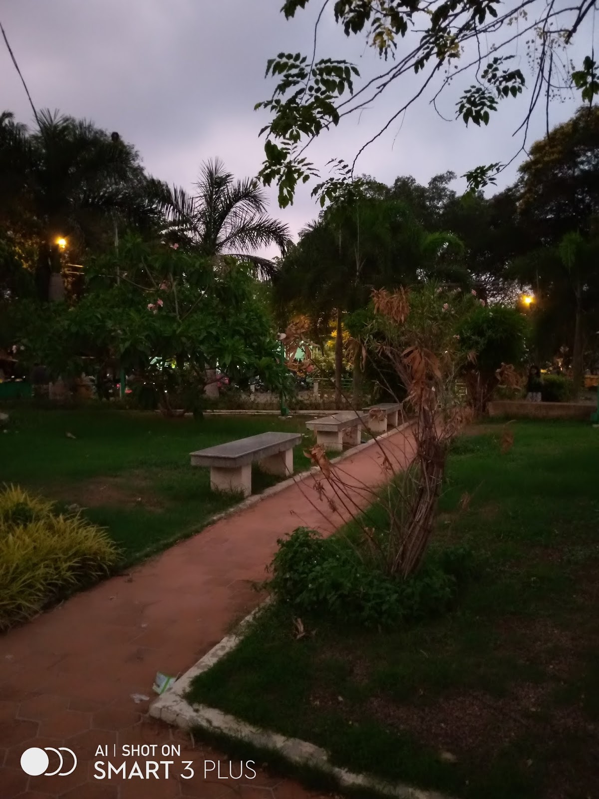 Infinix Smart S3 Plus rear camera review with samples - TECHPHLIE