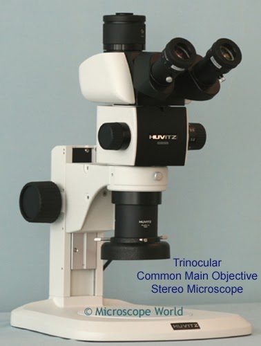 7 Facts You Never Knew About Best Stereo Microscope For Entomology ...