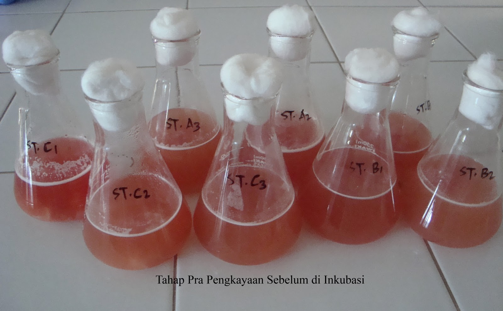 My World Fisheries: Tahap-Tahap Uji Salmonella (SNI-01-2332.2-2006)