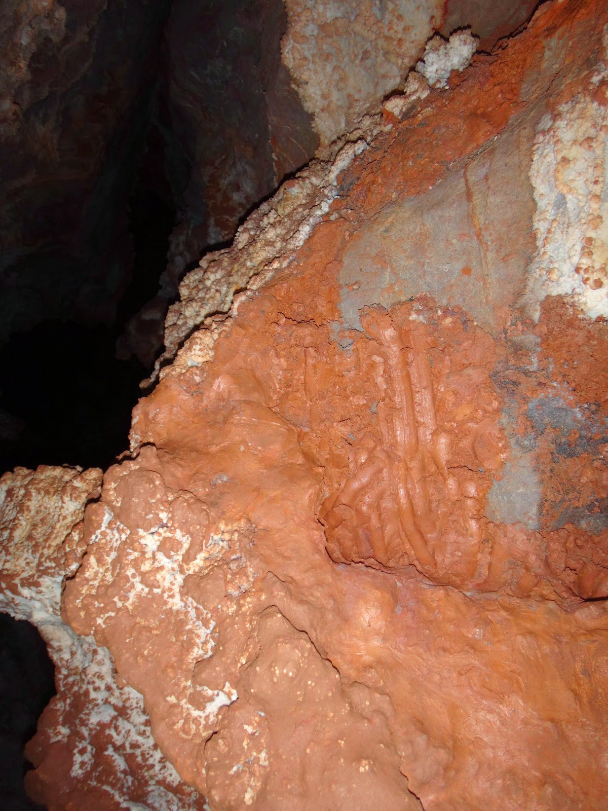 Cave of The Bells: The Trip When No One Was Bitten By A Skunk - First ...