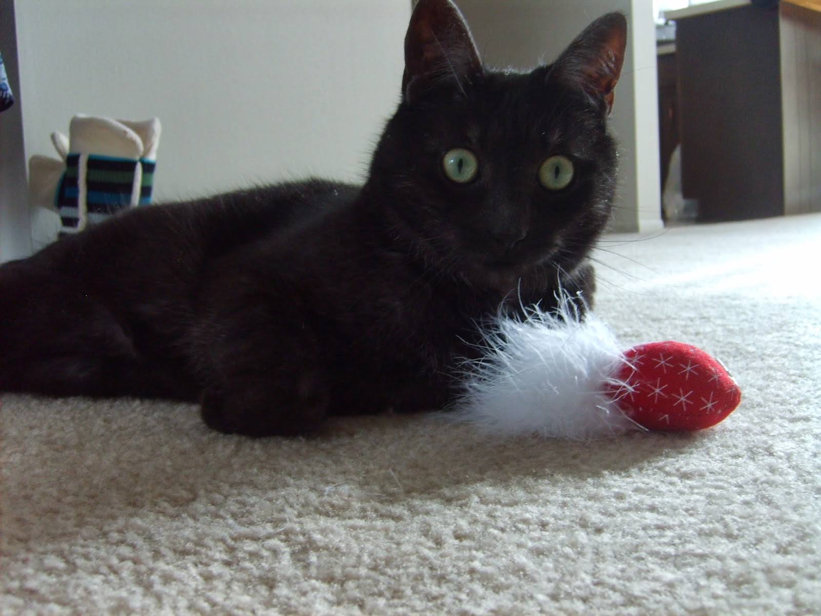 Net On The Net: Rough Week