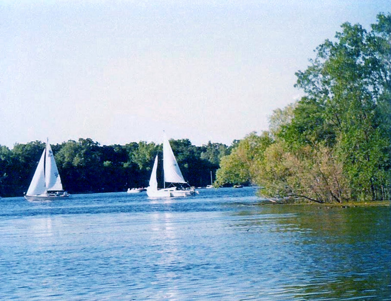 Paintersgarden: Sailing into Summer