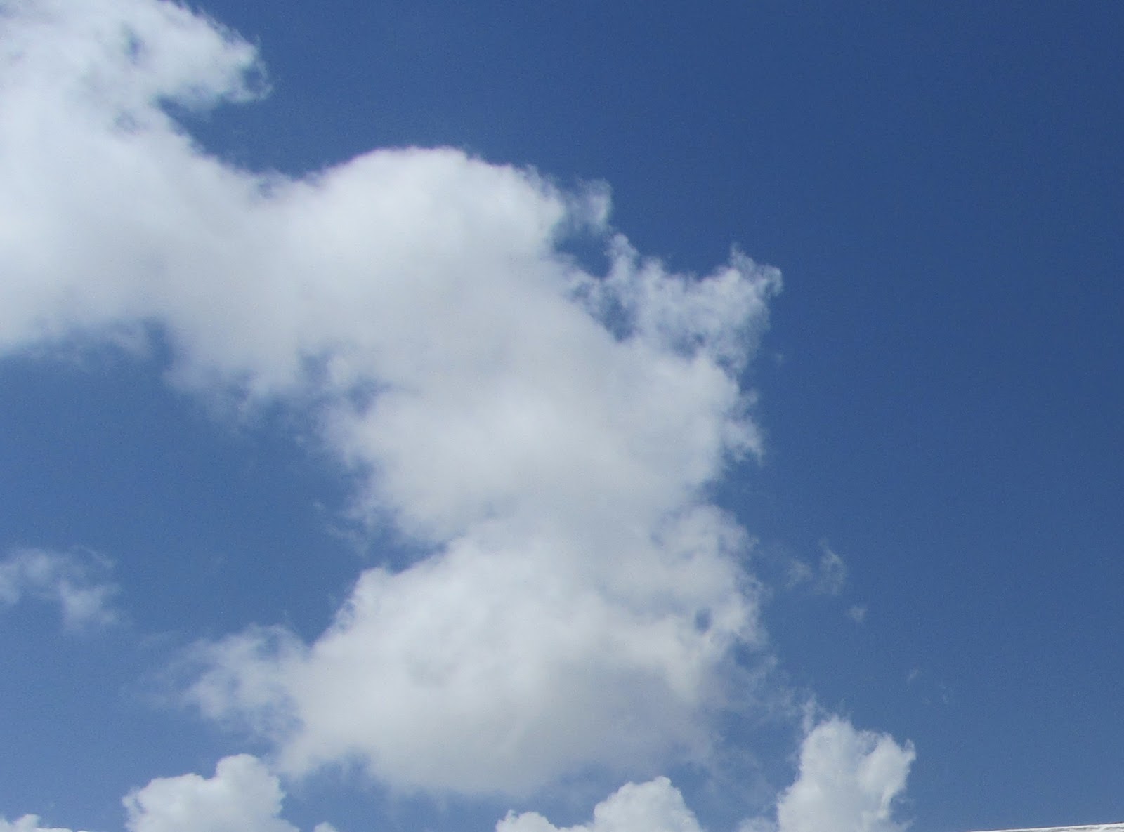 SERBĂRI ŞCOLARE: NORII