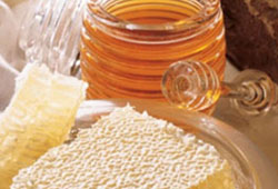 Geven Balı: Bal Resimleri