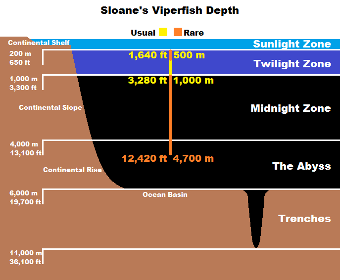 Real Monstrosities: Sloane's Viperfish