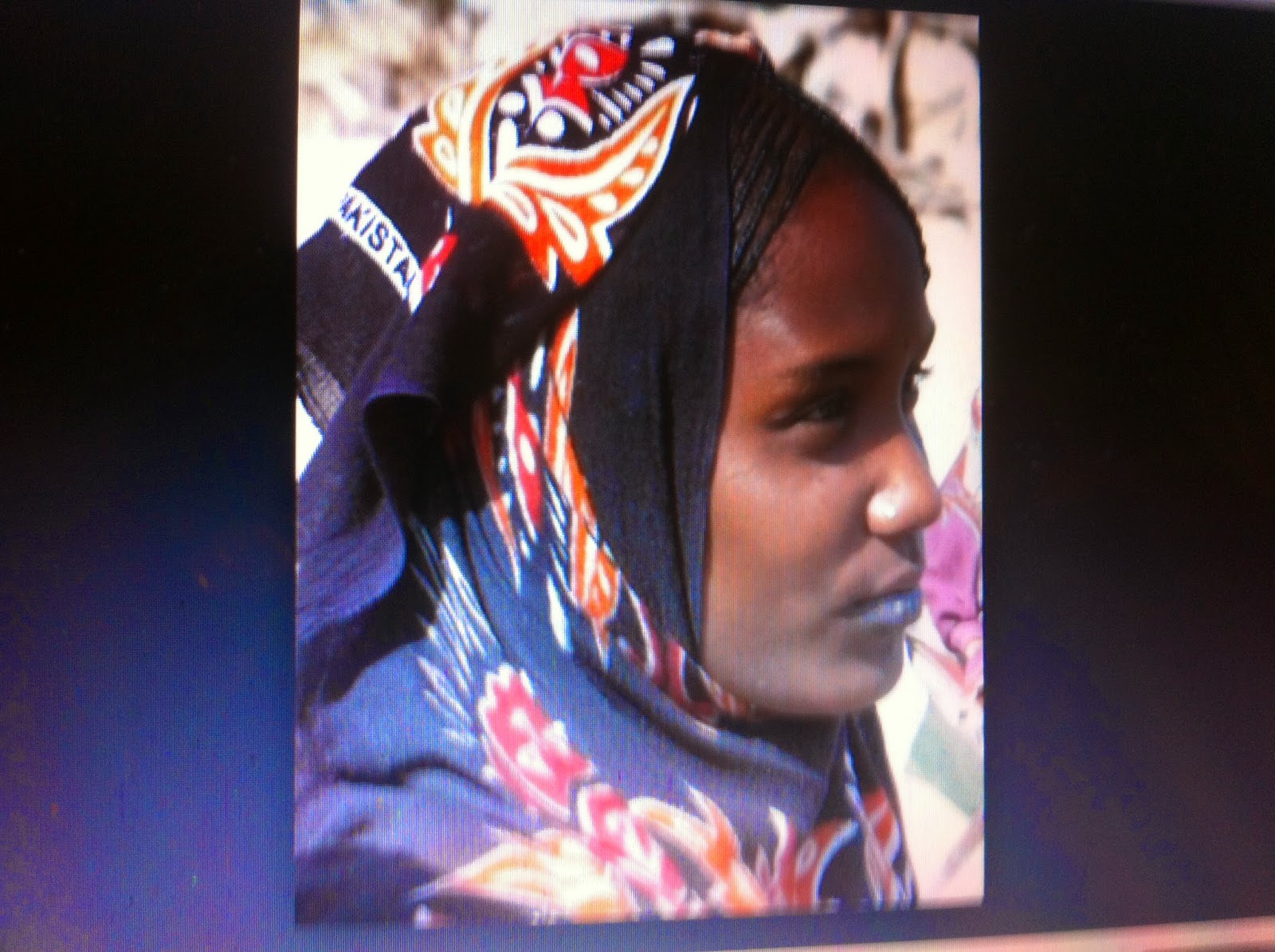 THE BLACK SOCIAL HISTORY:: BLACK SOCIAL HISTORY : AFRO-TURKS , HOW THE ...