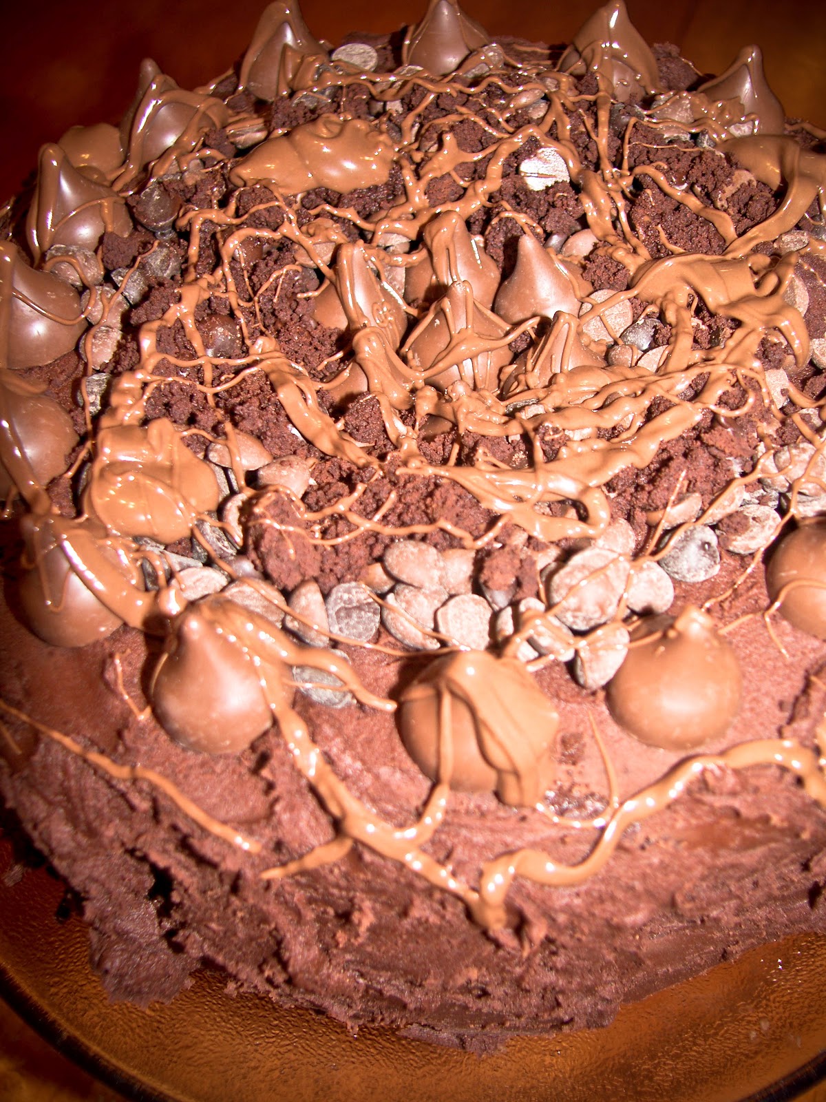 Crazy Chocolate Wasted Cake!!! - The DIY Dreamer
