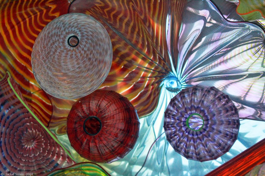 The Natural History of Bodega Head: Seaforms