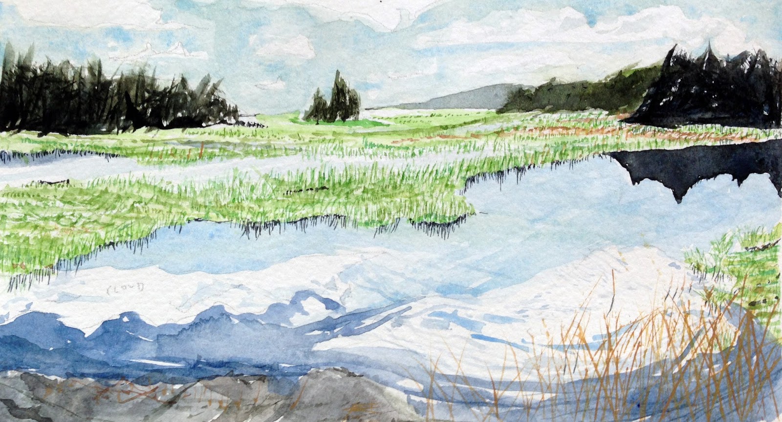 Pescadotes: marsh sketchbook