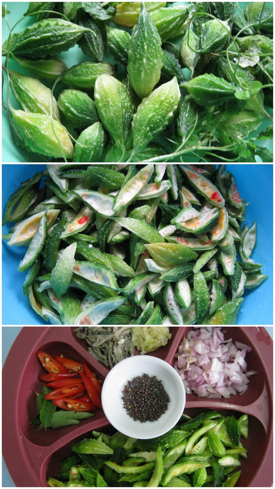 DAUN KARI Masakan Malaysia.....: SAYUR PERIA MASAK LEMAK cara orang india