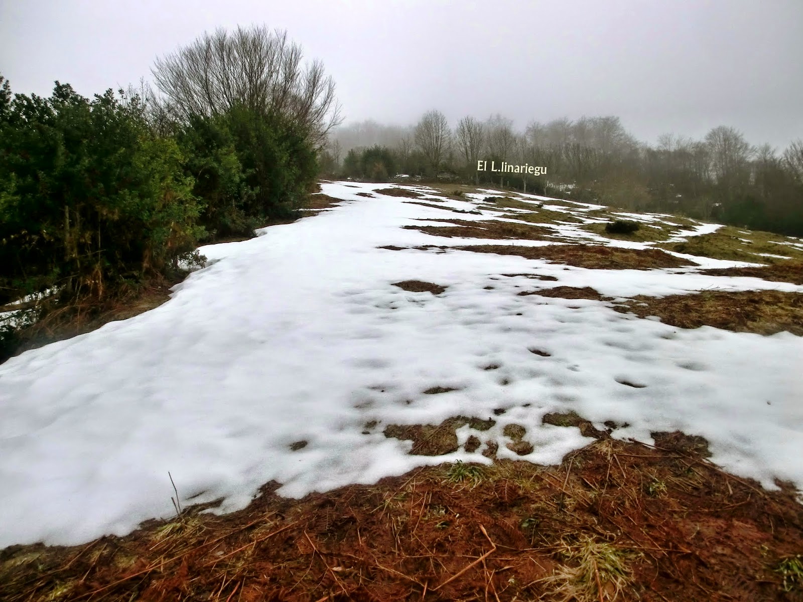 Pindio, pindio: Por los valles de Zurea (Valle del Bayo)