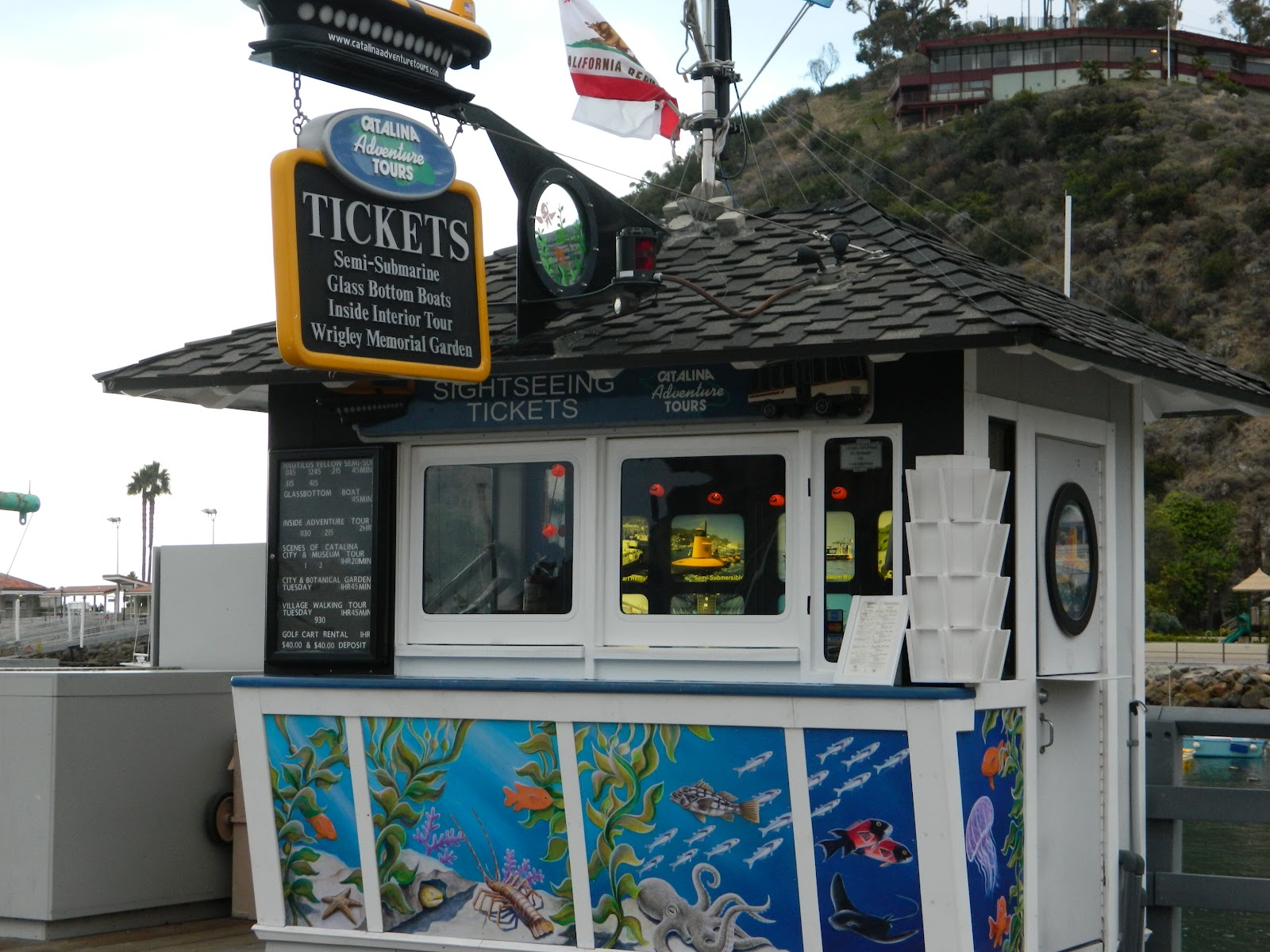 Roaming Rita: Yellow Submarine Ride at Catalina Island