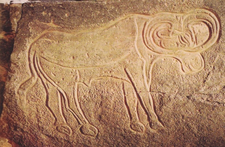 The Breeding-back Blog: The African aurochs