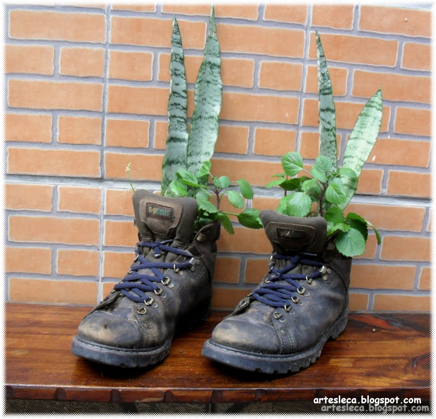 Plantas em botas velhas