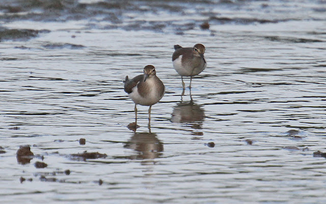 Simon and Karen Spavin: Alkborough Flats, Lincs