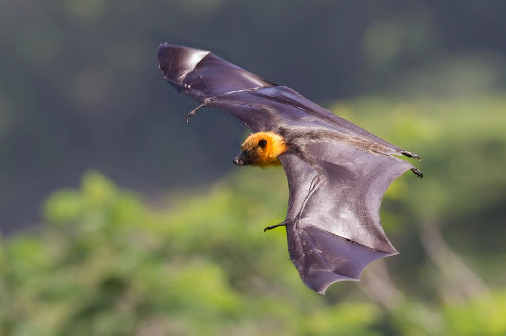 Chi viaggia impara: Immagini dal mondo: Seychelles