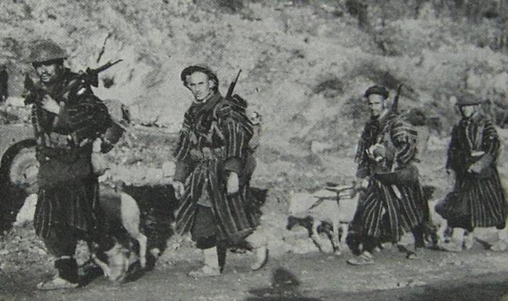 Military Analysis: FFE WW2.