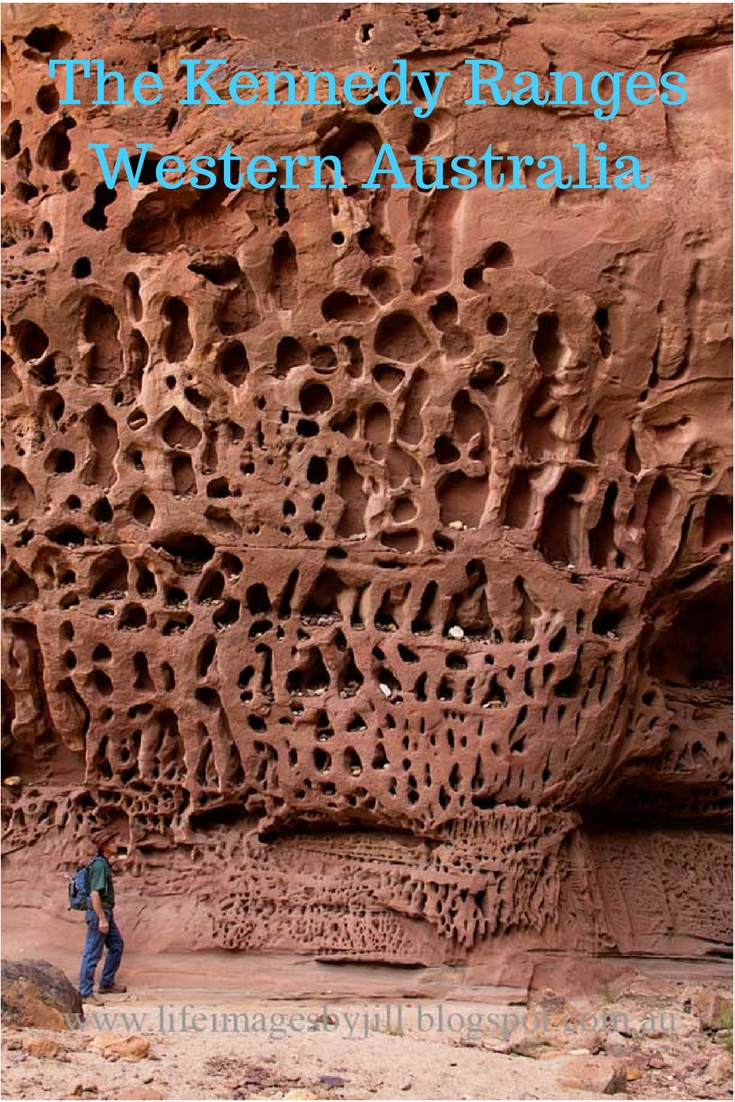 Life Images by Jill: Kennedy Ranges, Western Australia