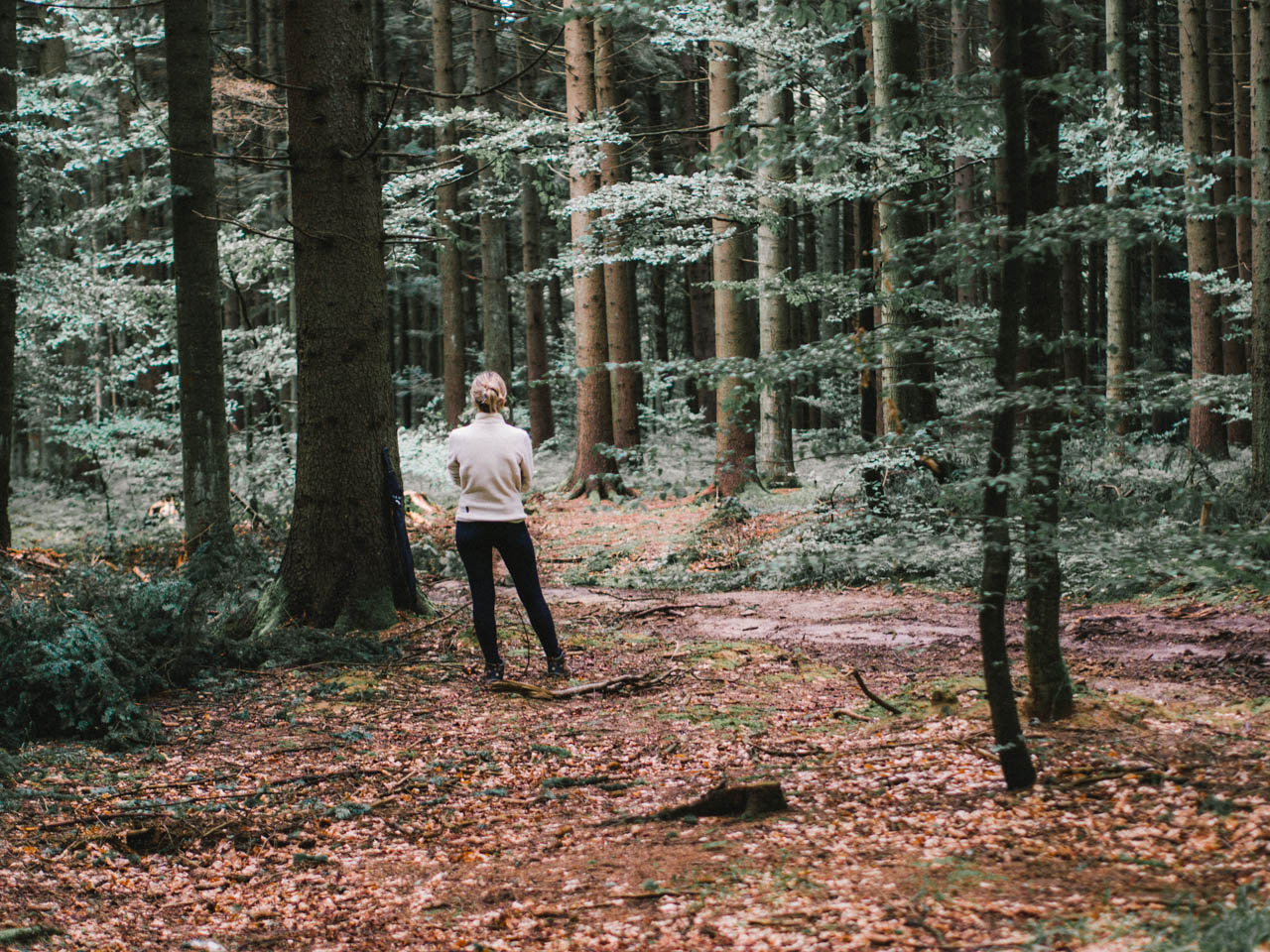 portrete si fotografii din mers