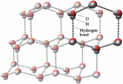 savvy-chemist: Intermolecular Forces (3) Hydrogen Bonding