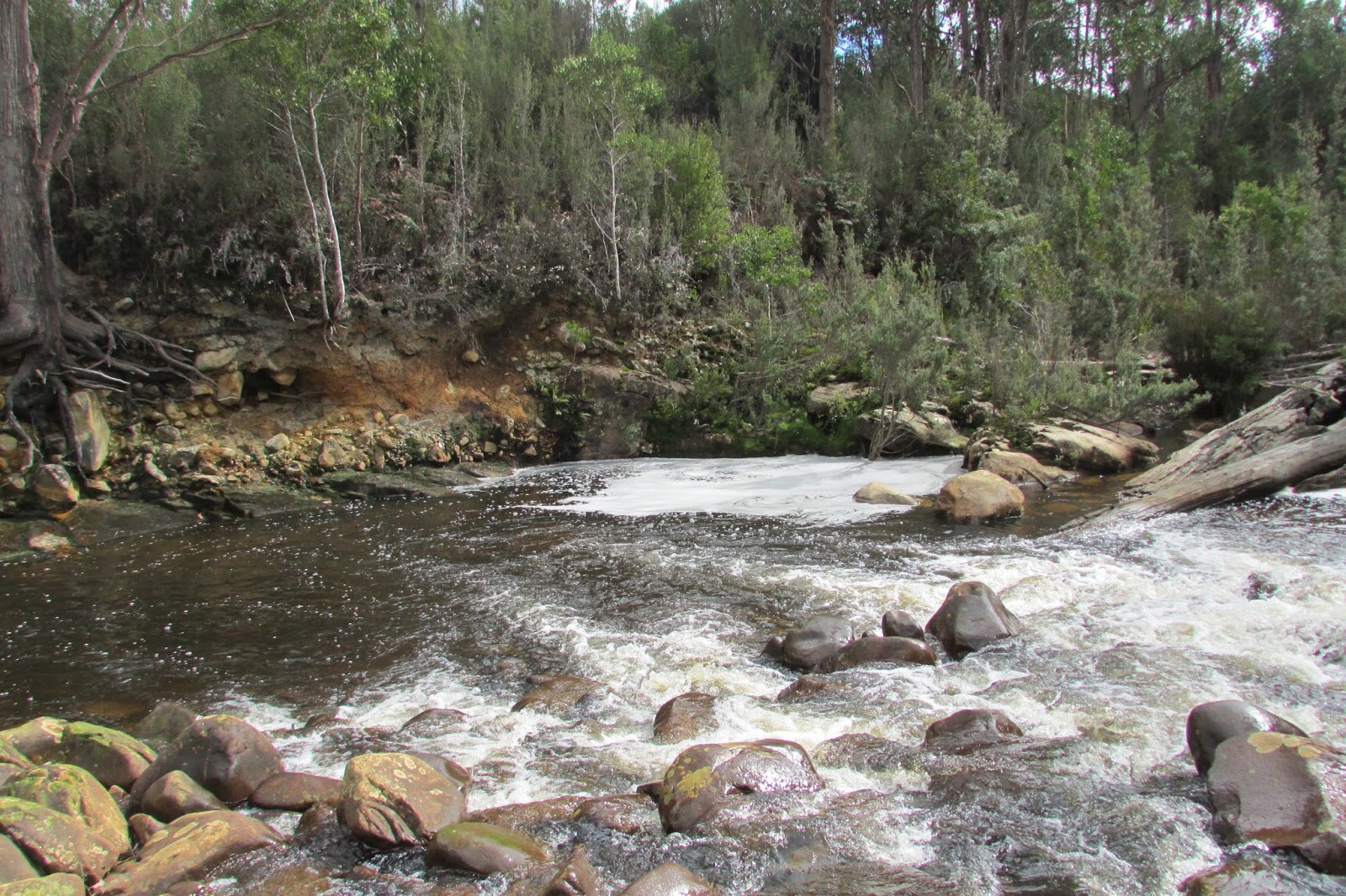 Esperance River | Hiking South East Tasmania